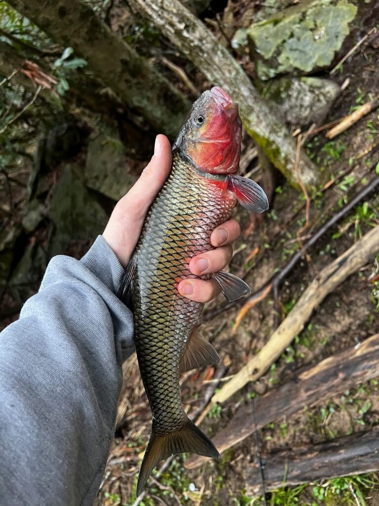 Featured Catches • Top Strike Fishing